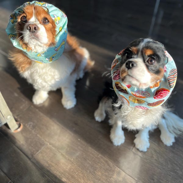 Pet Snood, Cotton Dog Snood, Cotton Pet Snood, Snood for Cavalier King ...