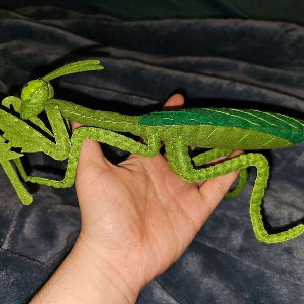Rubber Ducky Isopod From Felt Realistic Roly Poly Duck Felted Isopod ...