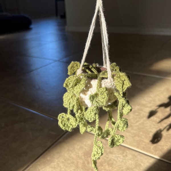 Tiny Pothos Crochet Pattern Bundle | Pothos Jade, Monstera and String ...