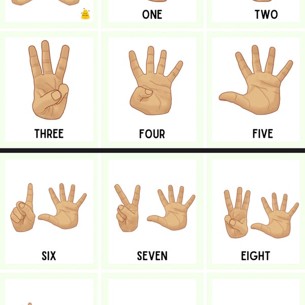 Anatomy of a Butterfly • Montessori Printable • Butterfly Study • Busy ...