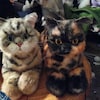 Handmade Tortoiseshell Cat Plush: Realistic Companion Gift (made to ...