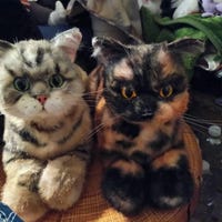 Handmade Tortoiseshell Cat Plush: Realistic Companion Gift (made to ...