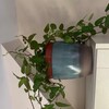 Olive Green Ceramic Planter / House Plant Pot / Various Sizes 10-26cm ...