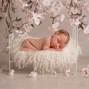 Newborn Digital Background Newborn Digital Backdrop Newborn - Etsy