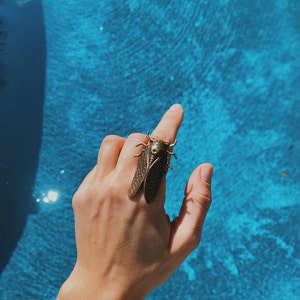 Hidden Locket Necklace CICADA Large Secret Compartment Bug | Etsy