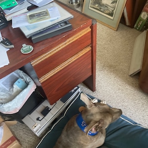 Leather Keychains 10 Pack-Hot Pink Leather Key Fobs Hardware | Etsy