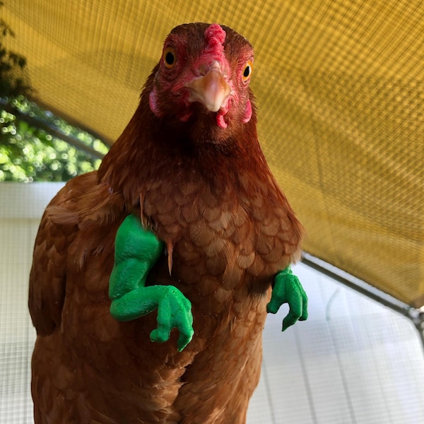 3D Printed Chicken Arms Velociraptor T-rex Dinosaur Arms - Various ...