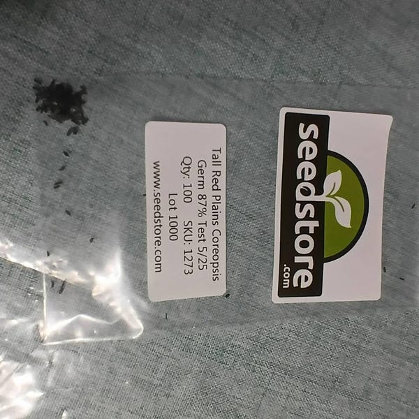 Gloria Cosmos Seeds | Cosmos Bipinnatus | Non-gmo | Flower Seeds | Seed ...