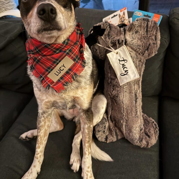 Plaid Cat Stockings - Rustic Plaid Fish Shaped Stockings for Cats ...