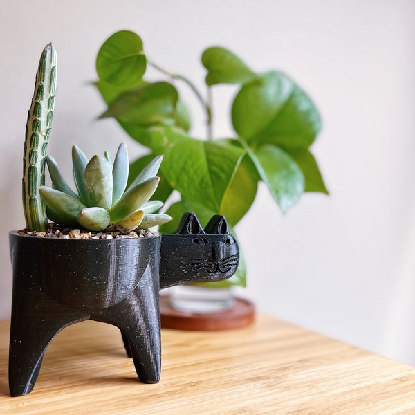 Cat Planter Pot for Cactus - Cat Plant Gifts - Cat Succulent Planter ...