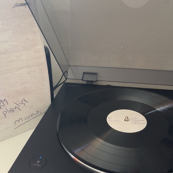 Personalized Vinyl Record Sleeve or Jacket With Your Photos Perfect for ...