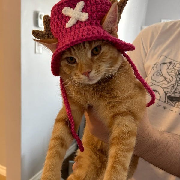 One Piece Anime Handmade Crochet Hat Tony Chopper Blue & Pink Hat ...