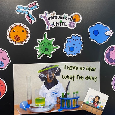 Cute Antibodies and Immune Cells Decorative Magnet Set - Etsy