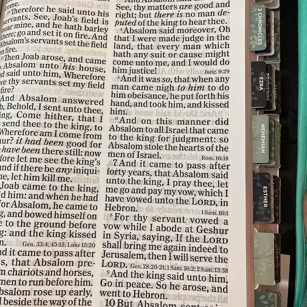 OFFILICIOUS Bible Book Tabs – 100 Soft-touch, Laminated Bible Tabs for ...