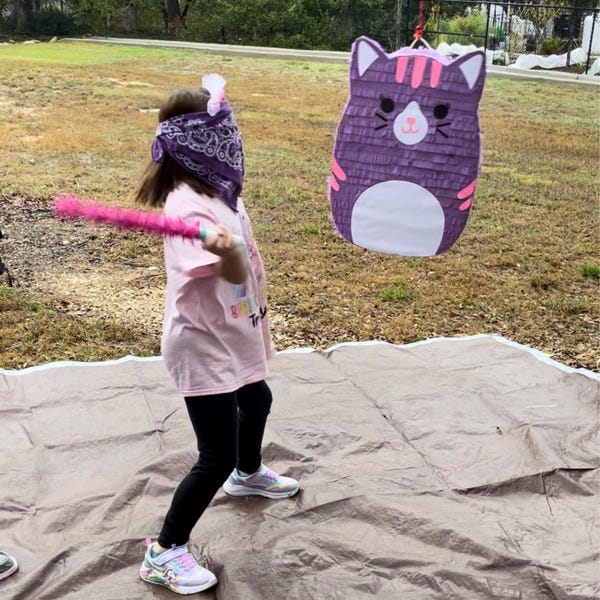 Squishmallow Kitty Cat Pinata - Etsy