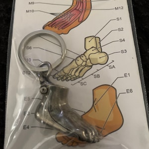 Foot Anatomy Keychain Human Foot Podiatry Keychain Anatomy - Etsy UK