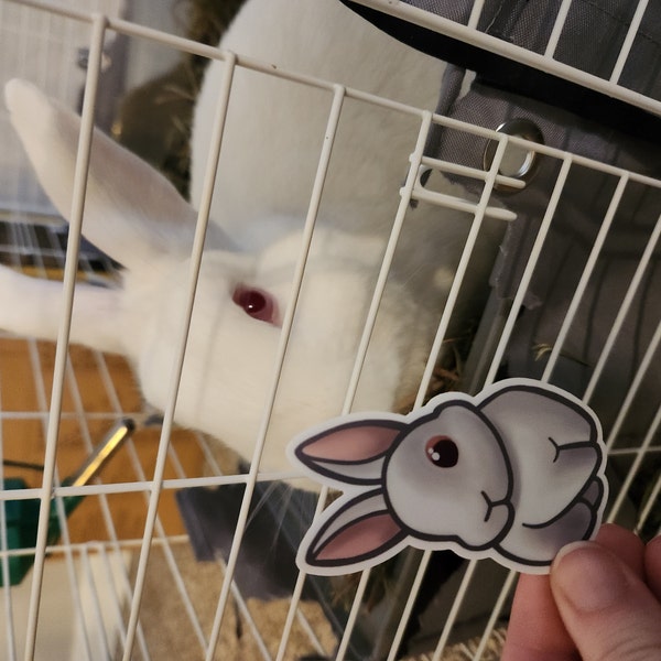 Red-eyed White Bunny Sticker; Cute REW Rabbit Printed Vinyl Sticker ...