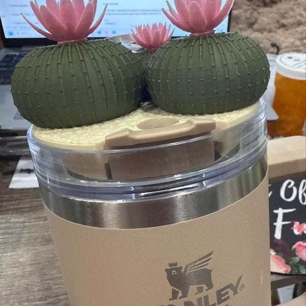Barrel Cactus Topper for Stanley Quencher H2.0 | Fits 40oz & 30/20oz ...