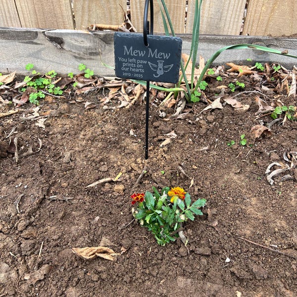 Pet Chicken Hen Memorial Garden Sign With Hanging Stake - Honor Your ...