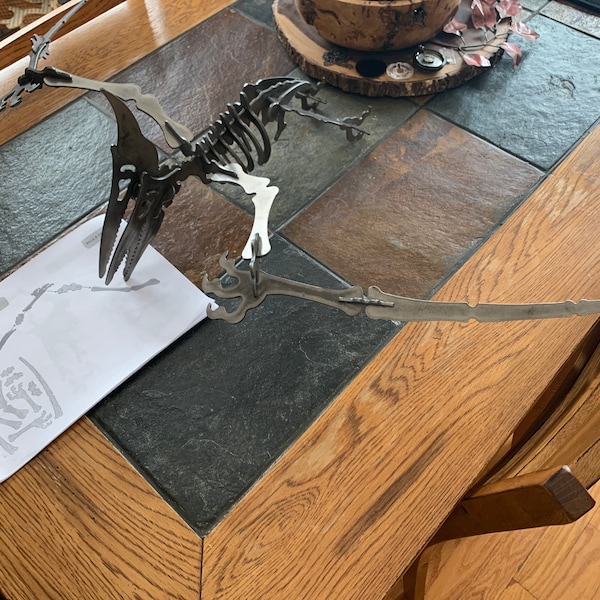 Small Dilophosaurus With Frill Dino Dinosaur Approx 15 Tall X 18 Long ...