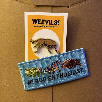 Number 1 Bug Enthusiast Iron-on Patch / Entomologist / Entomology ...