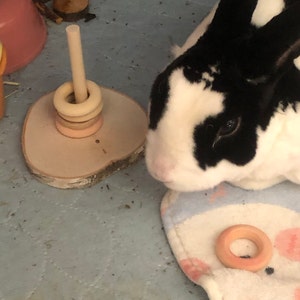 Ring Toss Rabbit Foraging Toy, Small Pet Gift for Bunnies, Guinea Pigs ...