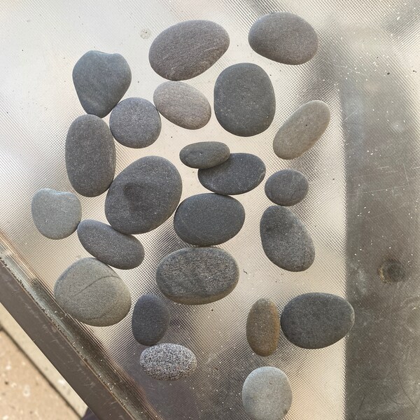 Small Thin Smooth Round Flat Beach Stones • Oval Charcoal Gray Basalt ...