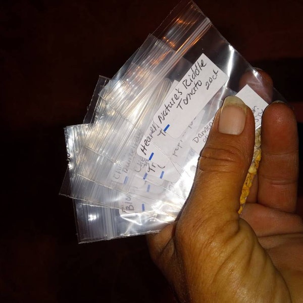 Cassidy's Folly Tomato Seeds casady's Folly - Etsy