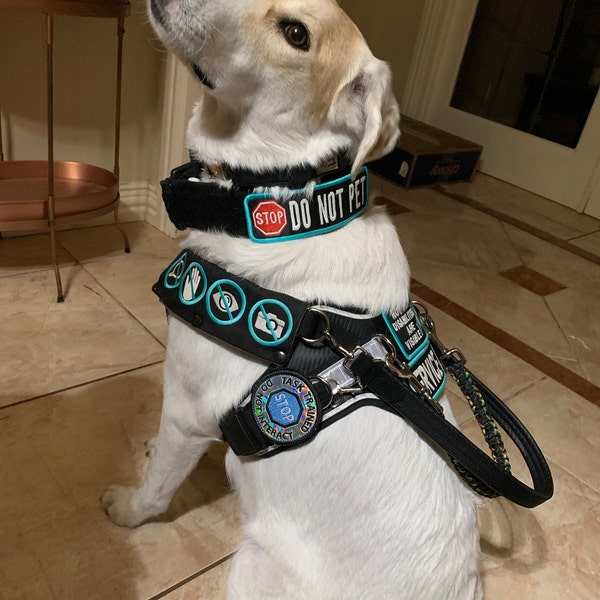 Patch Collar, Hook and Loop, Tactical Collar, Search and Rescue, Do Not ...