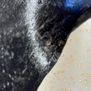 Nejiri Gama Garden Hoe 18, 13right Handed, 13 Left Handed Weeding ...