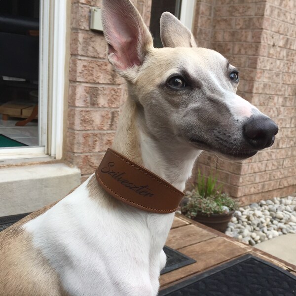 Tan Personalised Leather Dog Collar Whippet, Greyhound Collar ...