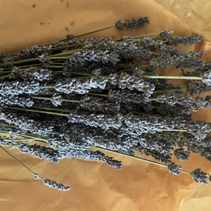 30 Lavender Sachets. Great for Wedding Toss Locally Grown and | Etsy