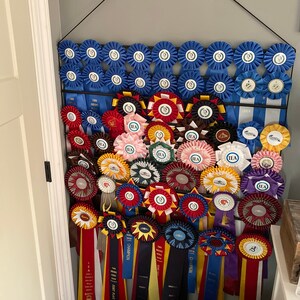 HIGH CAPACITY Dog Show Ribbon Display Holder Holds 85 | Etsy