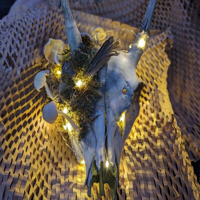 Fawn Vertebrae Bone and Brass Chain Earrings Cruelty Free Witchy ...