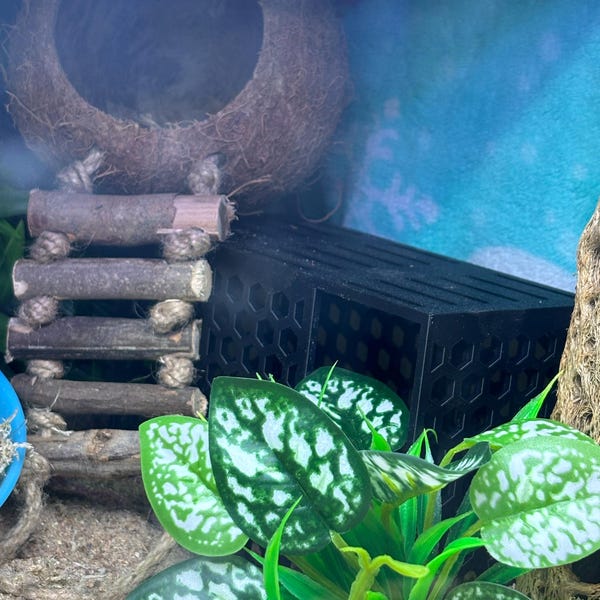 Aquarium Underground Cave Hide Fish Tank Decoration, Kuhli Loach Dojo ...