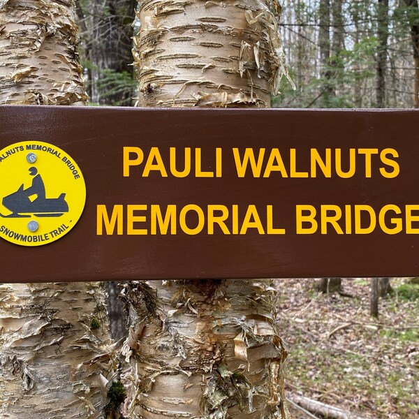 Adirondack Mountain Trail Sign - Etsy