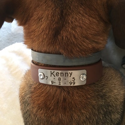 Dog Collar Name Plate, Rivet On, Large, 316 Stainless Steel Name Plate ...