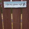 Peter Pan Inspired Single & Multi Pack Signpost Signs Neverland Lost ...