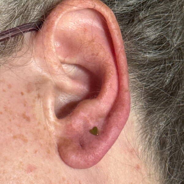 20G/18G/16G Heart Push Pin Labret • Threadless Flat Back Earring ...