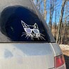 Cat Decal, Vinyl Decal, Car Decal, Bumper Sticker, 5 Decal - Etsy