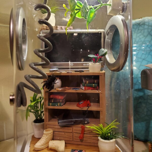 Jumping Spider Enclosure, Phiddipus Enclosure, Sling Enclosure, Spider ...