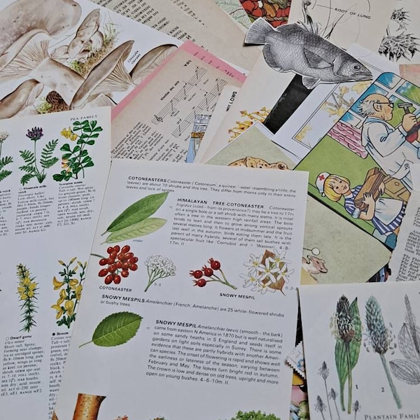 Vintage Paper Ephemera Pack. 75 Piece Mixed Paper Ephemera for ...