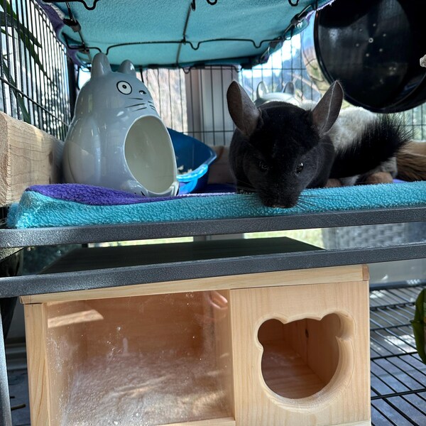 Scatterless Litter Box With Grids Wood Hay Feeder Food Stand 3 in 1 for ...