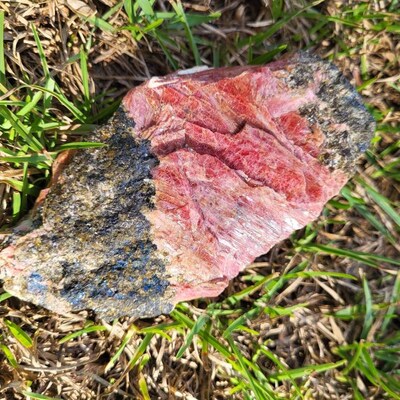 Authentic K-T Boundary kpg Boundary Sediment Layers Marking the ...