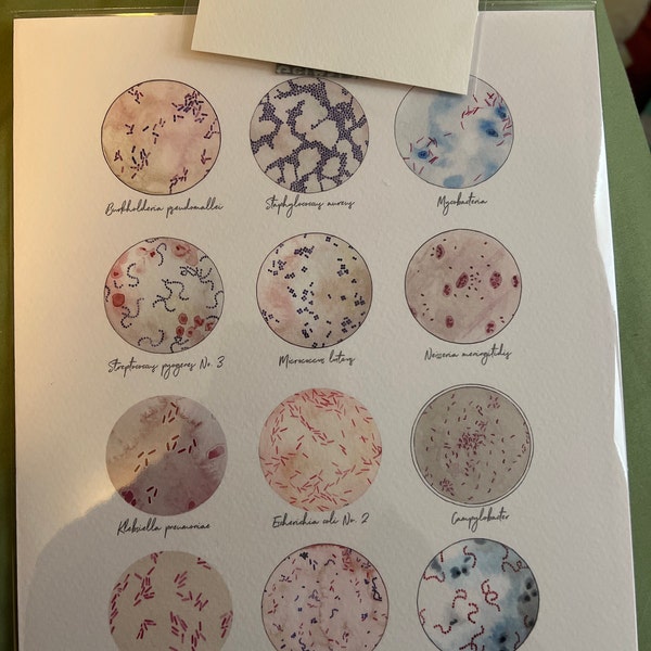 Microbe Collection, Bacteria, Bacteria Art, Science, Science Art ...