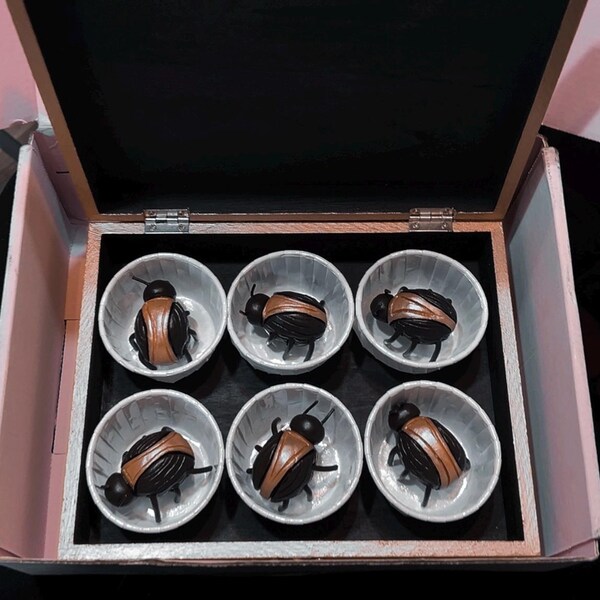 Handmade Coraline Cocoa Beetles Box - Etsy