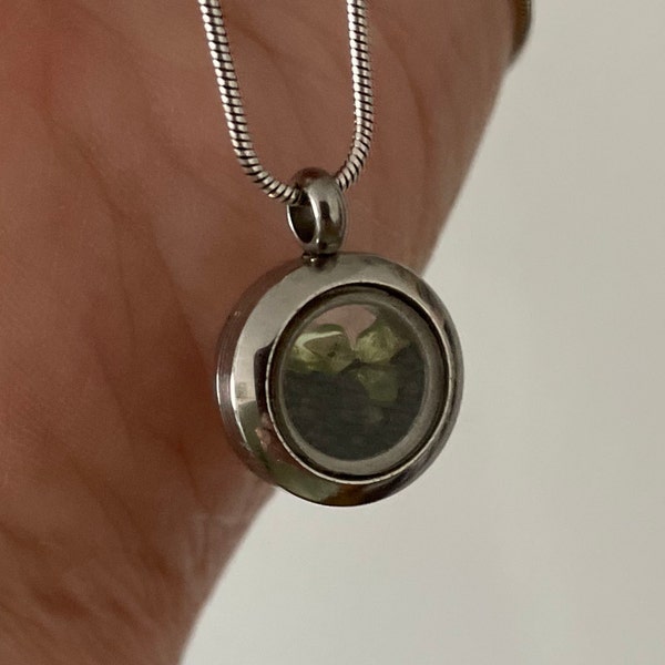 Floating Locket - Stainless Steel Glass Locket - Living Glass Charm ...