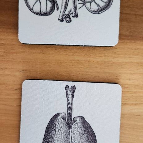 Goth Brain Anatomy Ornament Halloween Christmas Decoration Home Decor ...