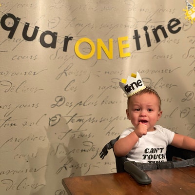 Quarantine First Birthday, Quarantined One, No One Allowed, Quaronetine ...