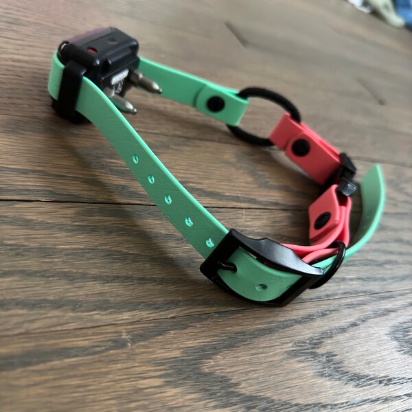3/4" Bungee Quick Release E-collar Strap - Etsy